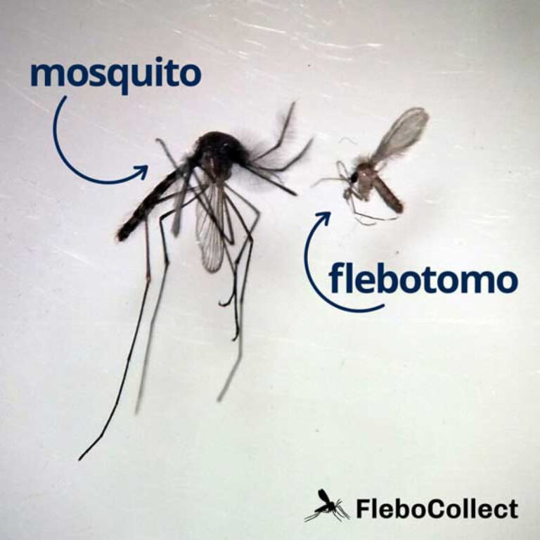 Flebocollect - Flebocollect